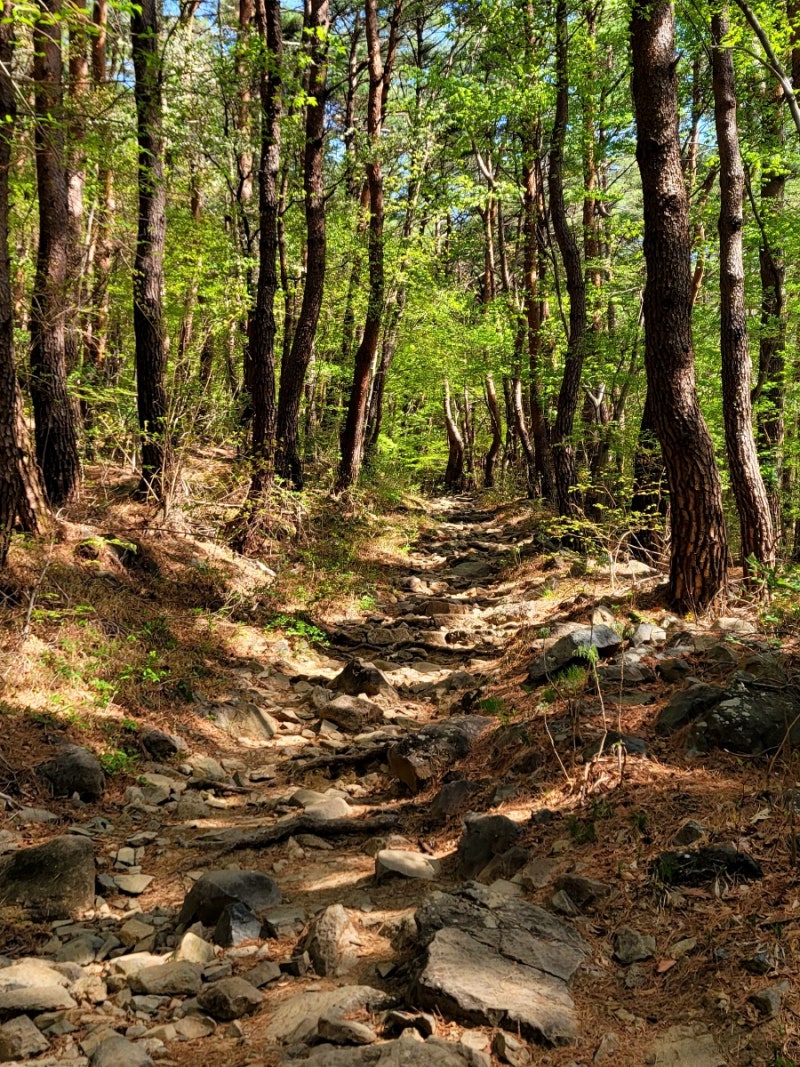 영축산 등산축서암 최단코스 왕복 8km 등산 후기영남알프스 네이버 블로그