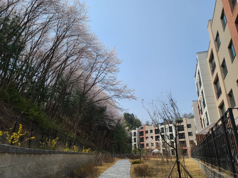 Review아산 배방 타운하우스 한성필하우스테라스인포레 기다리던 봄 네이버 블로그
