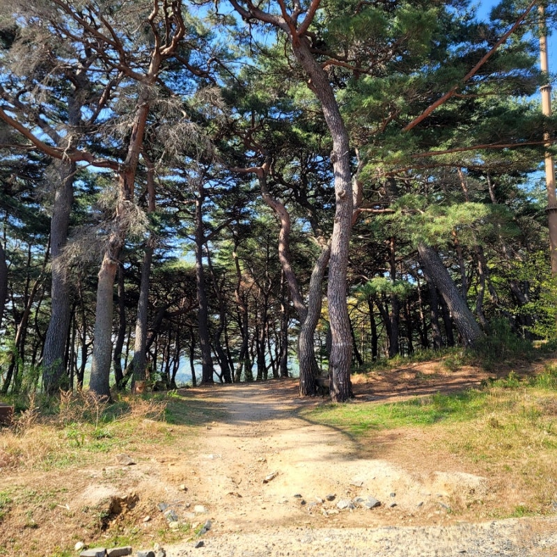 영축산 등산축서암 최단코스 왕복 8km 등산 후기영남알프스 네이버 블로그