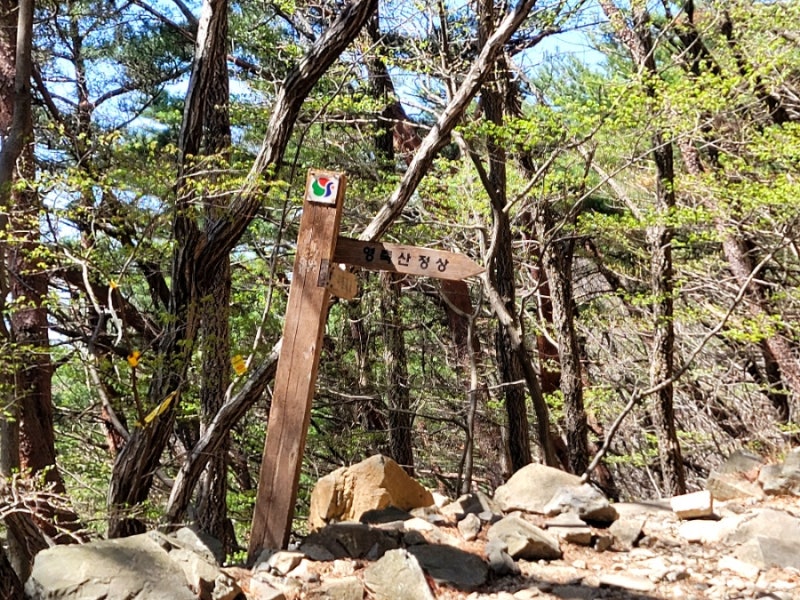 영축산 등산축서암 최단코스 왕복 8km 등산 후기영남알프스 네이버 블로그