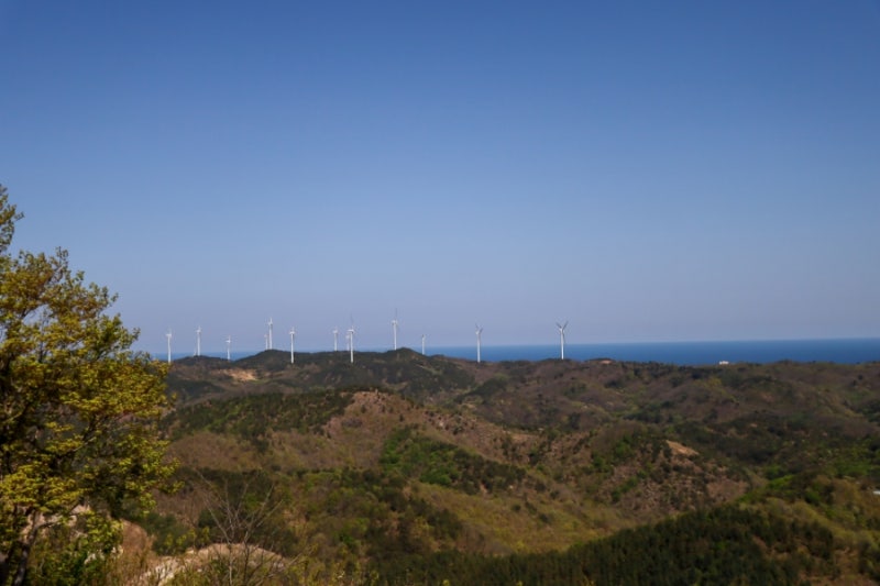 경북 영덕 가볼만한곳 코리아둘레길 해파랑길 20코스 영덕블루로드a코스 네이버 블로그