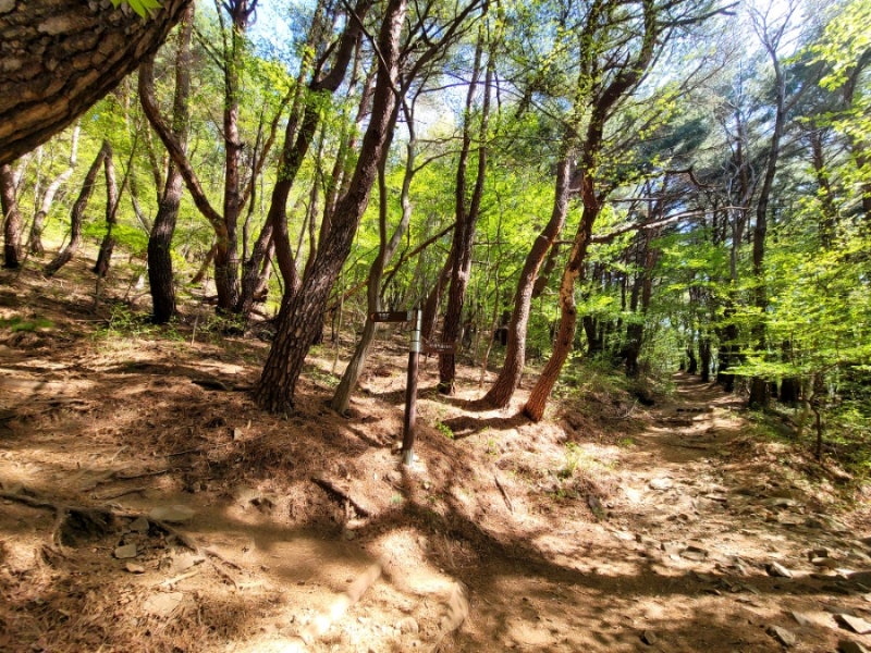 영축산 등산축서암 최단코스 왕복 8km 등산 후기영남알프스 네이버 블로그