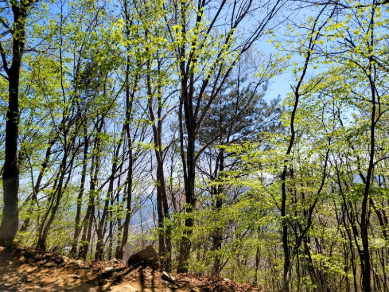 영축산 등산축서암 최단코스 왕복 8km 등산 후기영남알프스 네이버 블로그
