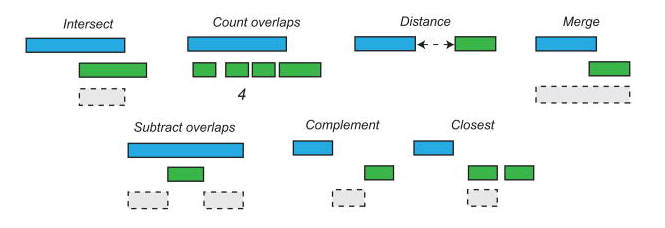 [BI / bedtools] bedtools란? : 네이버 블로그