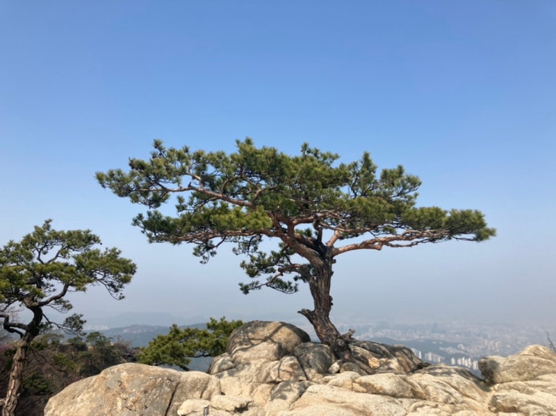 관악산 등산코스 서울대공대 건설환경종합연구소 연주대 깔딱고개 연주대정상 연주대정상에서 바위뒷길에 있는 줄타고
