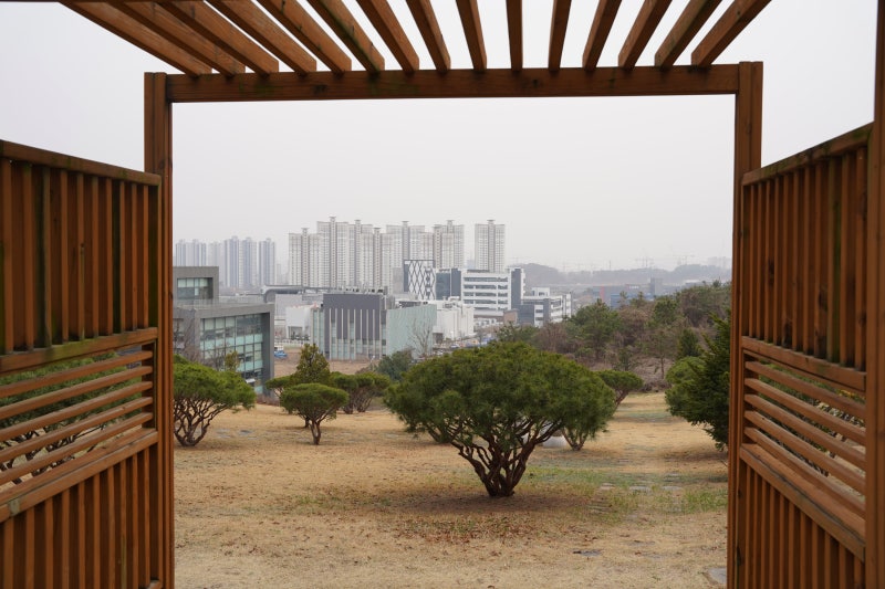 도시에서 만나는 숲여행 청주 오송역 근처 가볼만한곳 오송도시숲 네이버 블로그