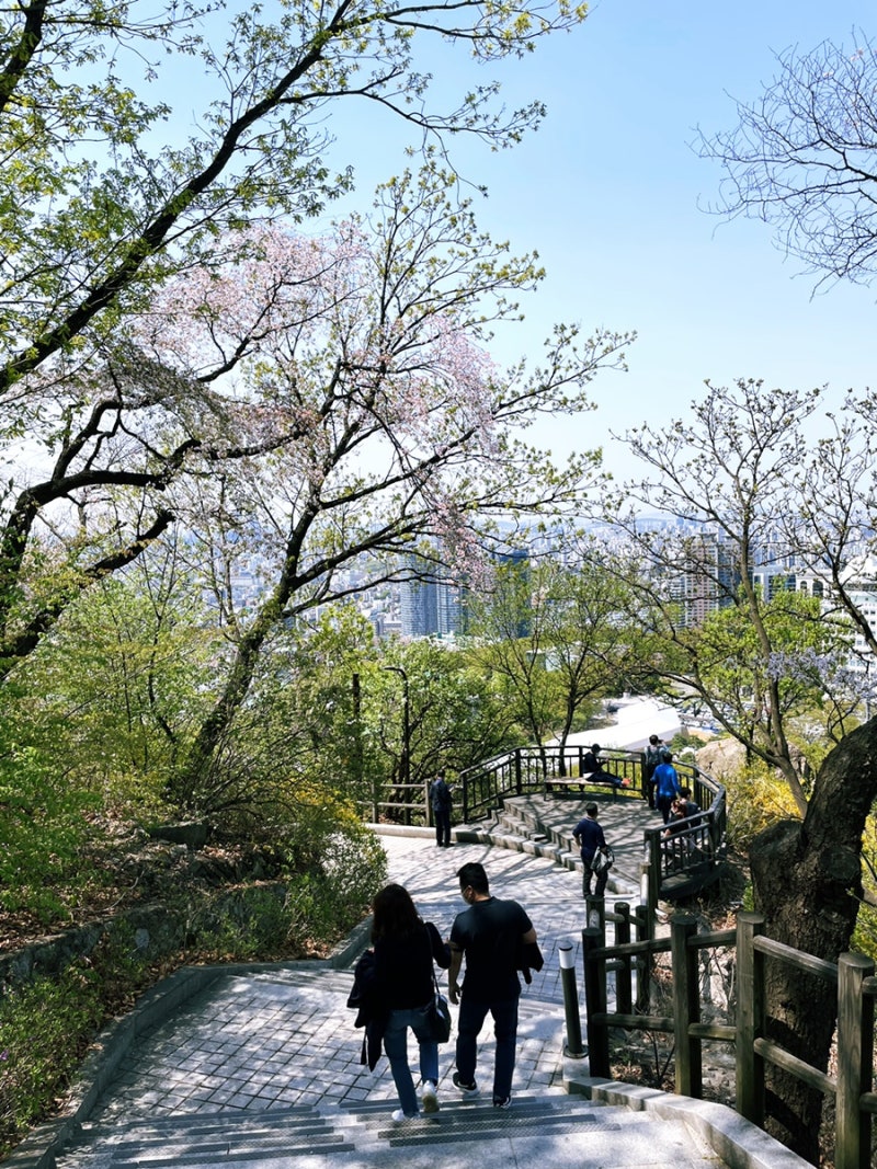 서울 데이트 코스 추천남산타워 둘레길을 걸어서 올라가는법 후기ft주차장 네이버 블로그