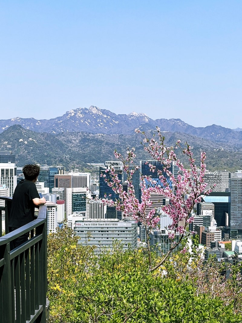 서울 데이트 코스 추천남산타워 둘레길을 걸어서 올라가는법 후기ft주차장 네이버 블로그