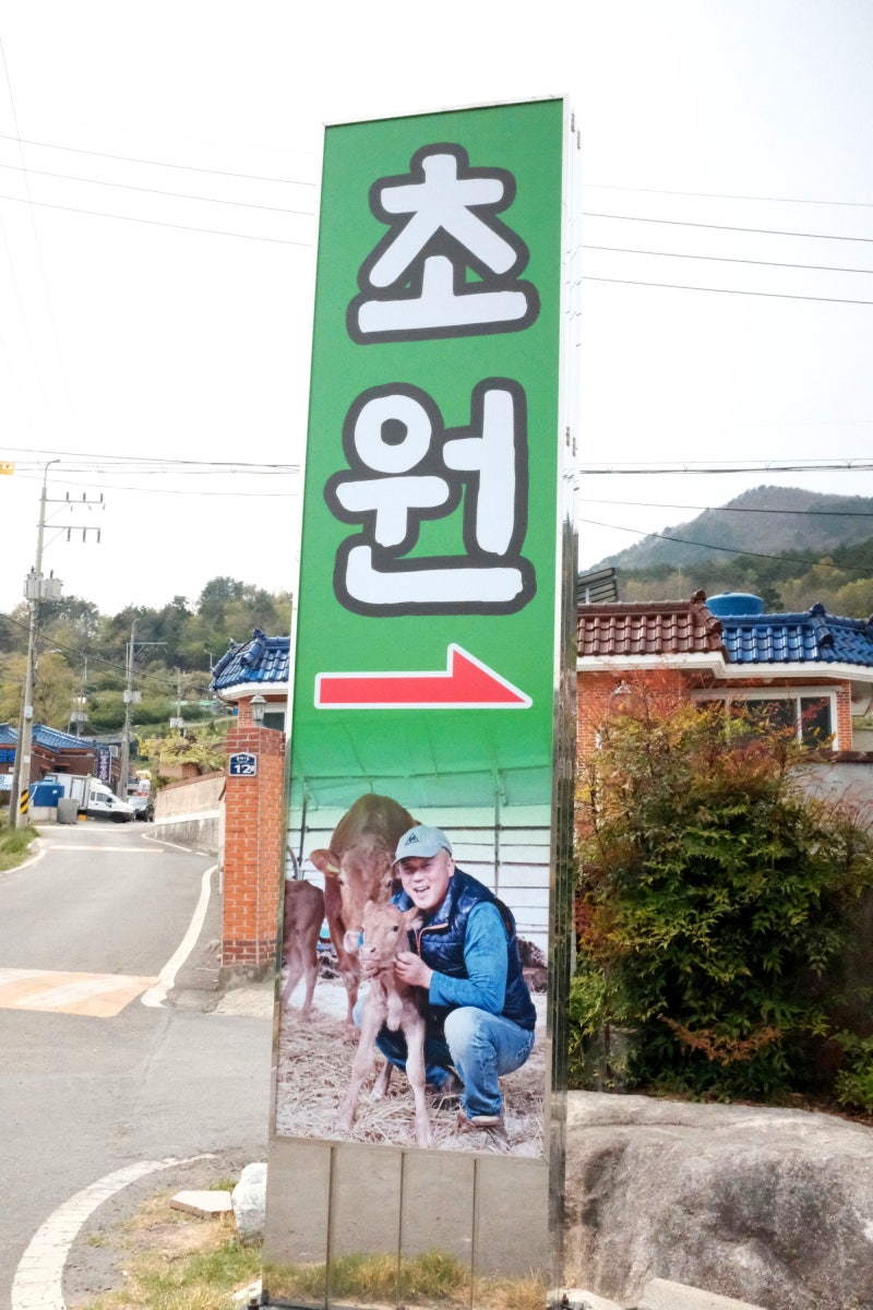 철마한우맛집 기장 핫플 아홉산숲 근처에 있는 철마한우초원 네이버 블로그