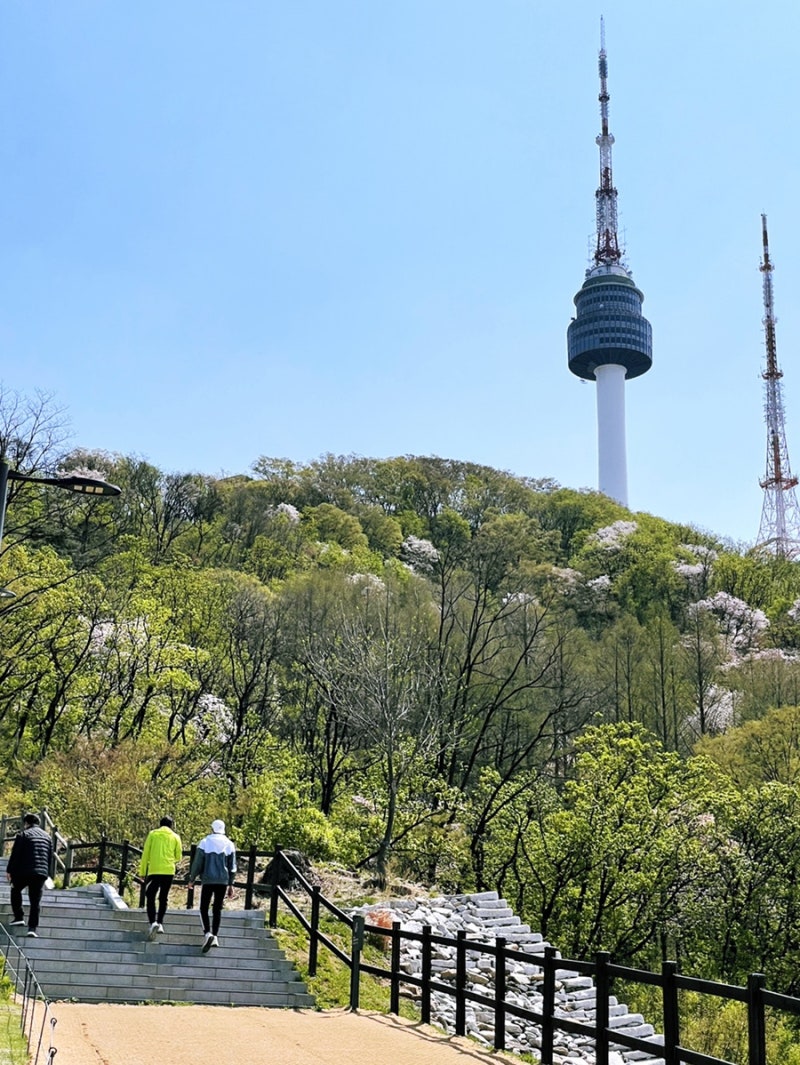 서울 데이트 코스 추천남산타워 둘레길을 걸어서 올라가는법 후기ft주차장 네이버 블로그
