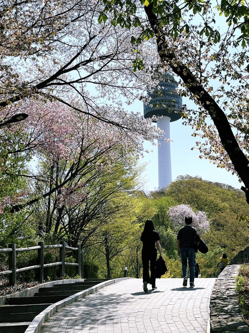 서울 데이트 코스 추천남산타워 둘레길을 걸어서 올라가는법 후기ft주차장 네이버 블로그