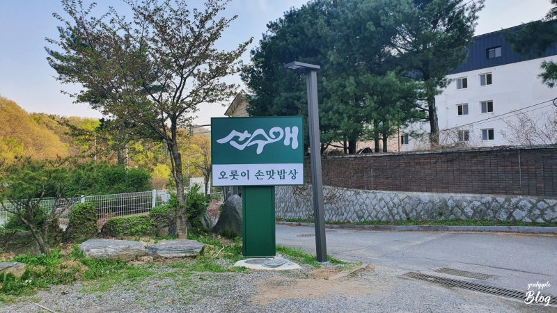 율동공원 맛집 산수애 분당 한정식 추천해요 네이버 블로그