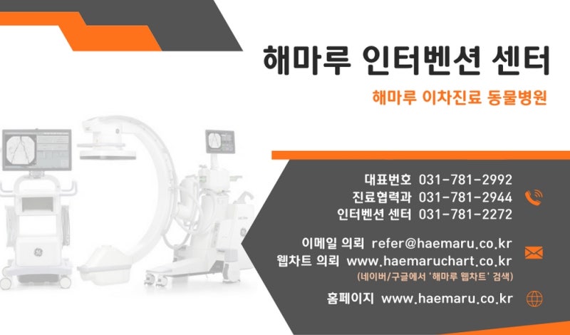 강아지 PDA 비수술적 교정, ACDO 시술 사례 (해마루 동물병원) : 네이버 블로그