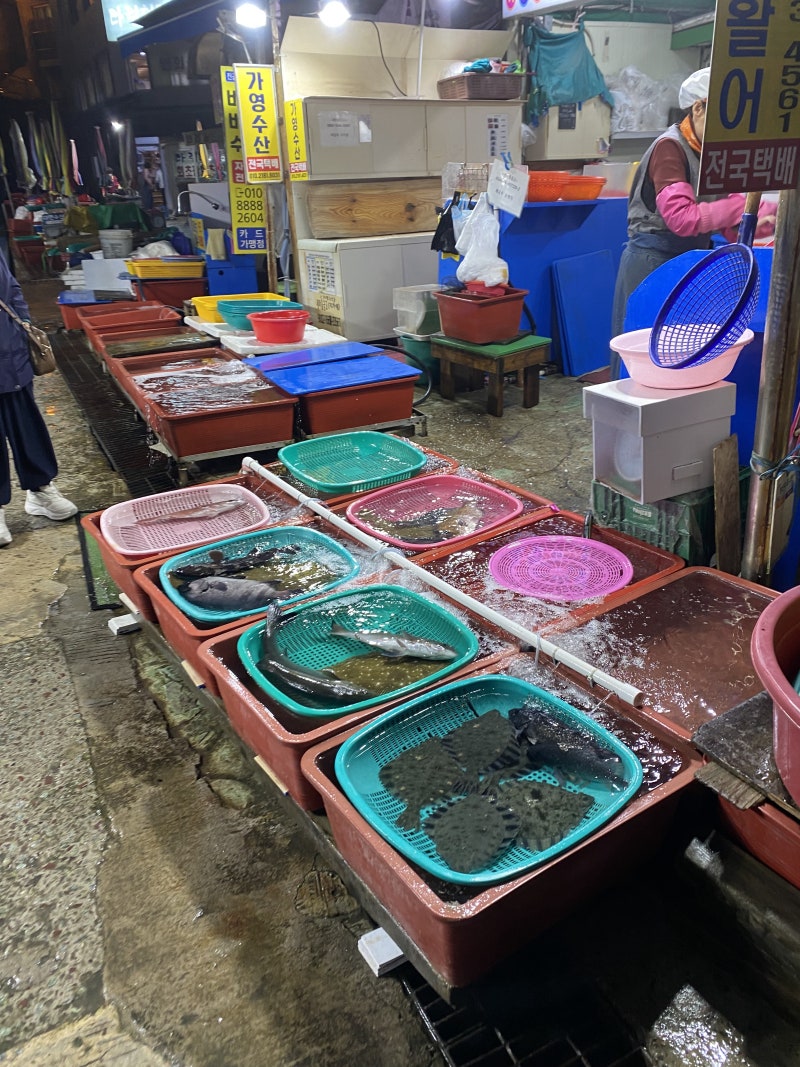 통영 4인 숙소 브라운도트호텔 위치와 가성비 훌륭 : 네이버 블로그