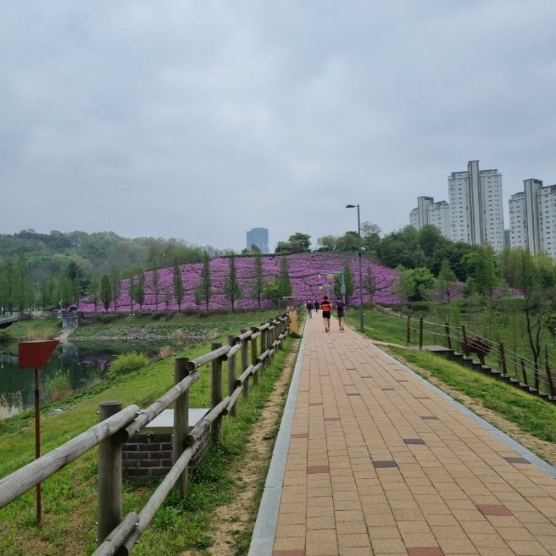 서울러닝코스10km 광교호수공원 러닝코스 달리기~ 원천호수와 신대호수 두 개의 호수 8자 모양 83km 이런 러닝코스는