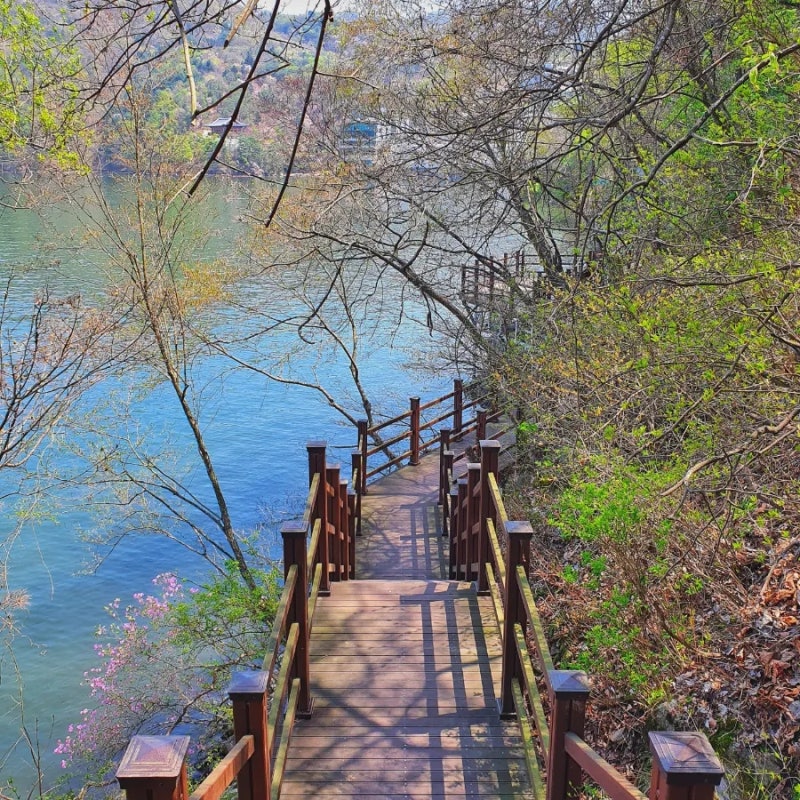 가평 경기도 숨은 명산 울업산 신선봉 🏞 청평호수길 잔도까지 걷는 힐링 코스 🍃 네이버 블로그
