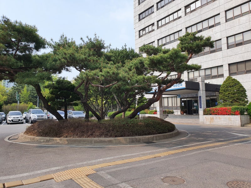 재외동포f4 거소신고자 체류기간 연장허가 네이버 블로그
