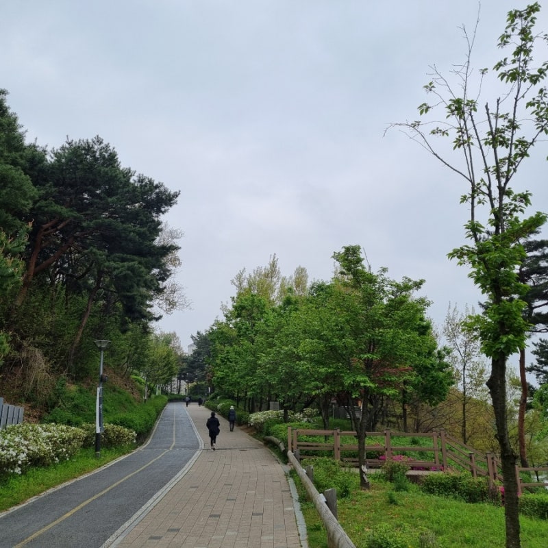서울러닝코스10km 광교호수공원 러닝코스 달리기~ 원천호수와 신대호수 두 개의 호수 8자 모양 83km 이런 러닝코스는