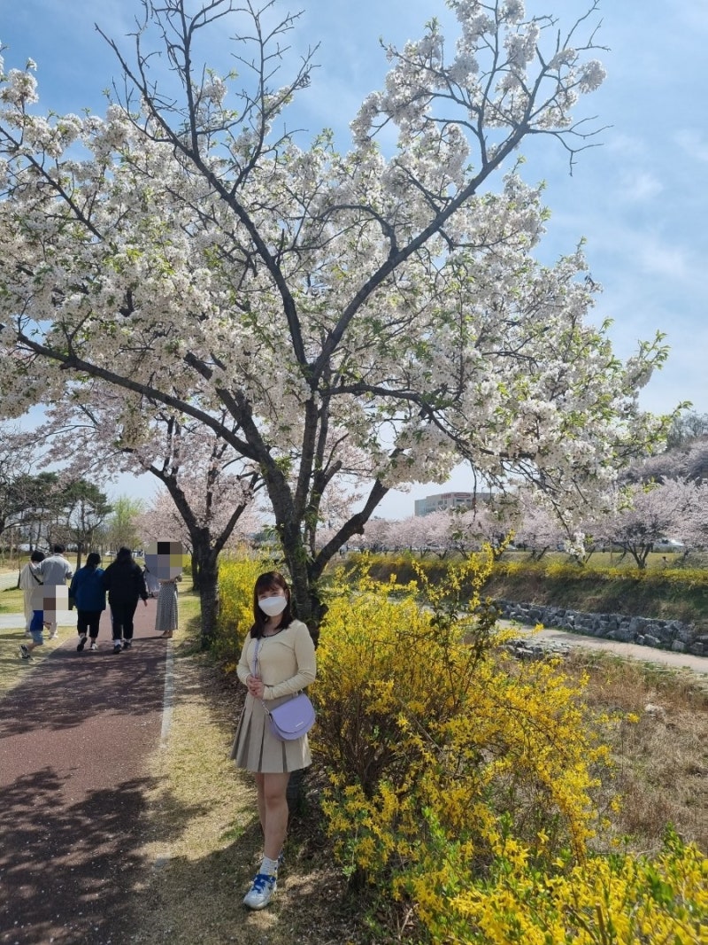 대전죽동 중식레스토랑 리엔차이 Feat벚꽃구경 네이버 블로그