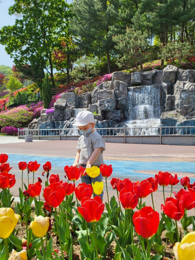 용인농촌테마파크 아기랑 피크닉 가기 좋은 곳 네이버 블로그