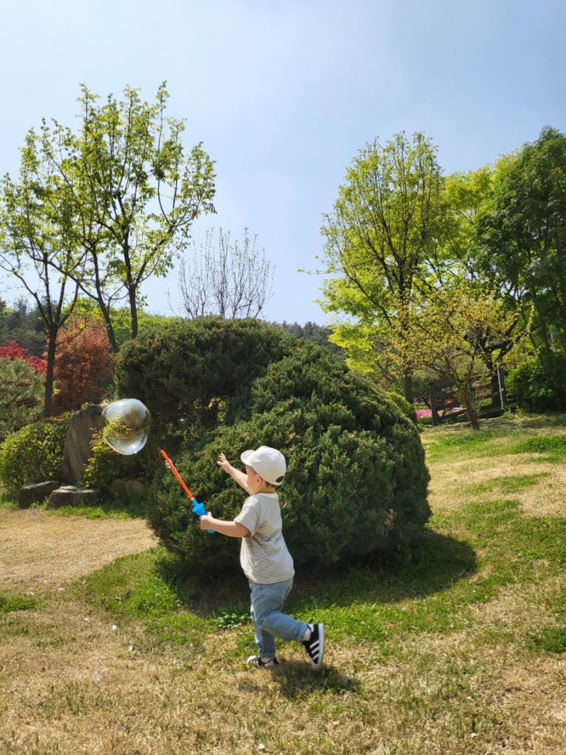 용인농촌테마파크 아기랑 피크닉 가기 좋은 곳 네이버 블로그