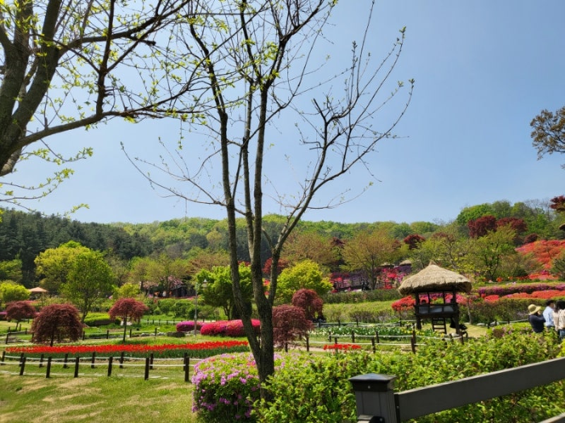 용인농촌테마파크 아기랑 피크닉 가기 좋은 곳 네이버 블로그