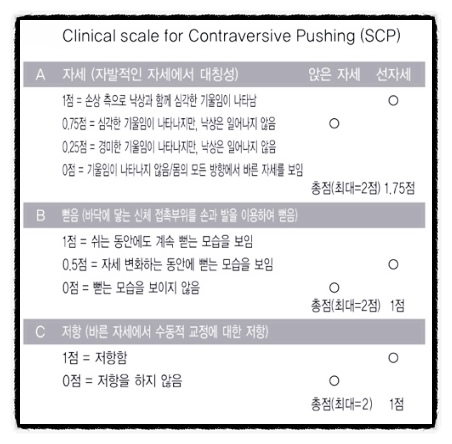 밀기증후군 (pusher syndrome) : 네이버 블로그