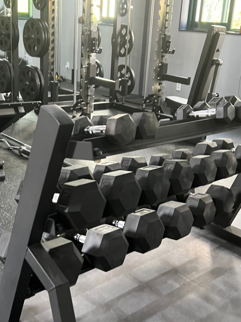 삼성동 헬스장 고피티gym에서 20년차 트레이너와 웨이트 찐후기 강남 11 프라이빗 헬스장 삼성중앙역 Pt샵