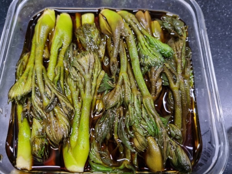 자연산두릅 두릅짱아치만들기 두릅장아찌레시피 두릅보관법 네이버 블로그