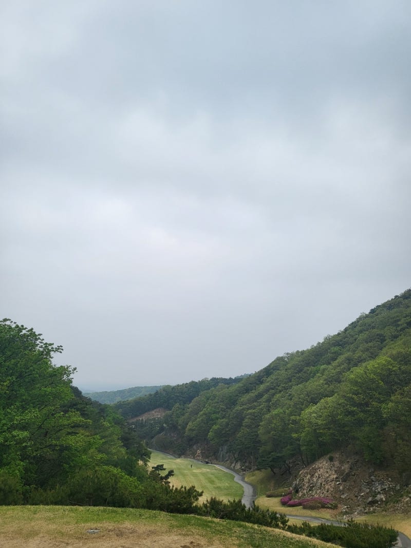 [골프일기] 센추리 21CC라운딩 후기 : 밸리코스 - 필드코스 : 네이버 블로그