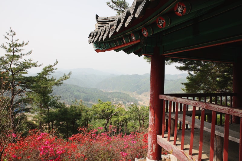 홍천 가볼만한곳 자연과 역사가 담긴 척야산 문화수목원 네이버 블로그
