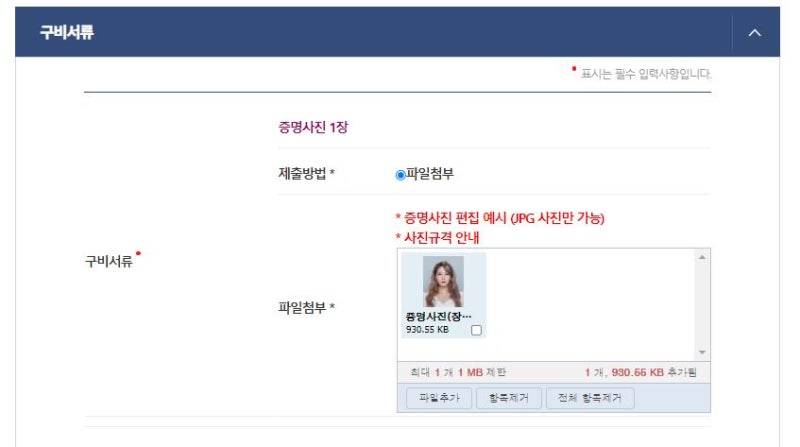 정부24 인터넷 주민등록증 재발급 신청 방법 및 민증사진 규격소사본동행정복지센터 네이버 블로그