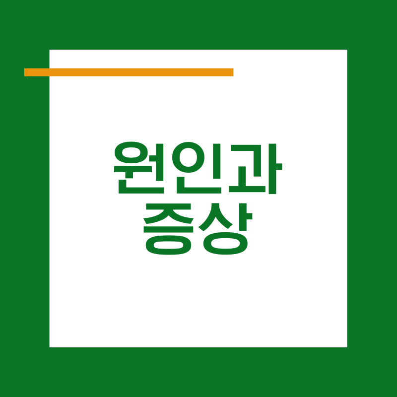 한쪽 눈충혈 눈에 실핏줄 핏줄 터짐 원인 증상 안약 눈병 눈질환 결막하출혈 결막염 포도막염 네이버 블로그