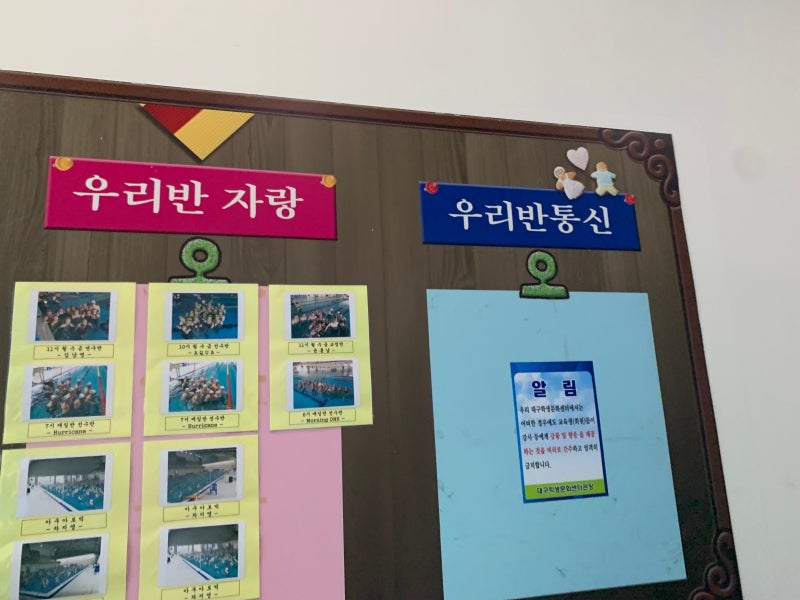 대구 학생문화센터 수영장 개장과 등록 시간 가격 네이버 블로그