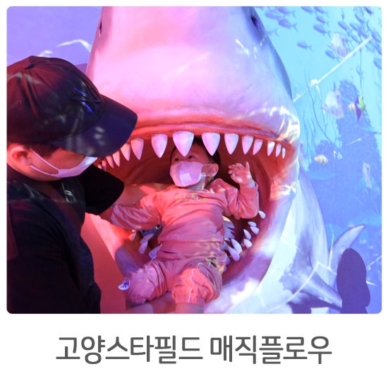 고양 스타필드 매직플로우 수족관카페 원더래빗 아쿠아리움카페 네이버 블로그
