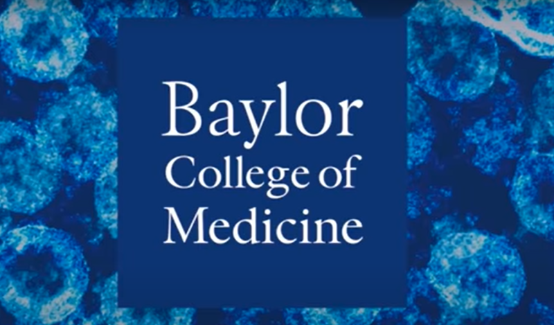 미국 베일러 대학교 통합 의대 장학금 ( Baylor University BS MD Scholarship) : 네이버 블로그