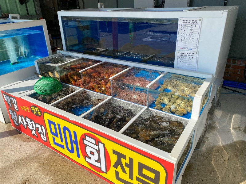 신안맛집 자은도횟집 백길천사횟집 상다리 부러집니다 네이버 블로그