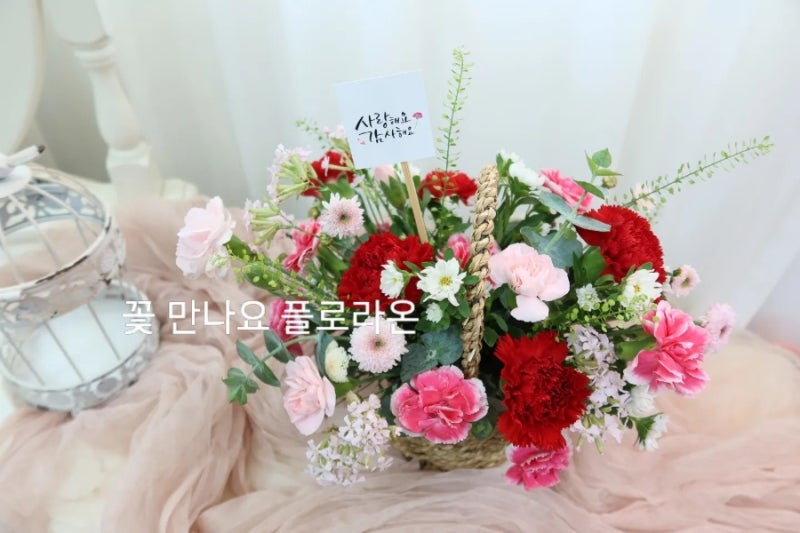 어버이날 스승의날 카네이션 꽃바구니 추천 시흥 월곶 배곧 정왕동 시화 인천논현동 소래포구 꽃집 플로라온 생화 비누꽃 시들지않는꽃