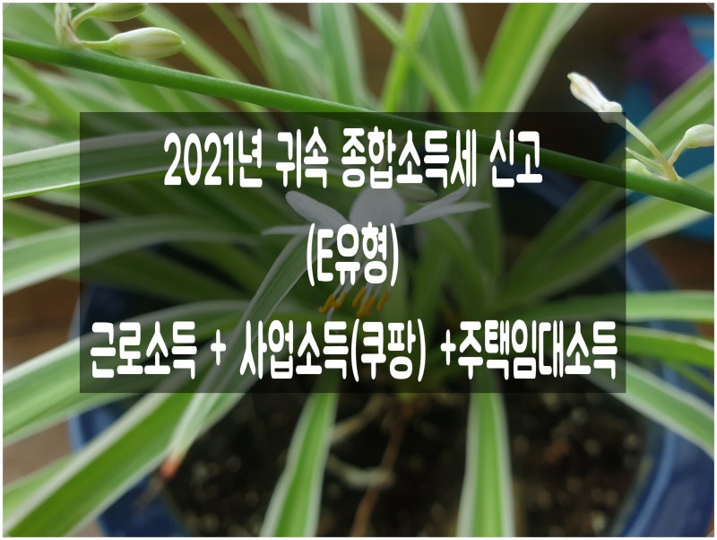 2021년 귀속 종합소득세 신고e유형근로소득사업소득임대소득기타 네이버 블로그