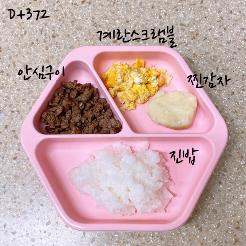유아식 12개월 아기 식단 식판샷 및 간단 레시피무염 네이버 블로그