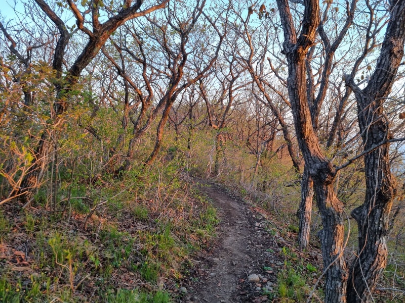 [220505] 지리산 서북능선 - 멋진 일출과 철쭉 : 네이버 블로그