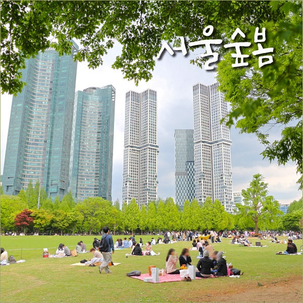서울 당일치기 놀곳 성수동 서울숲 서울 데이트 코스 추천 네이버 블로그