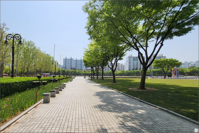 안양 시민의 쉼터 가볼만한 곳 평촌중앙공원 네이버 블로그