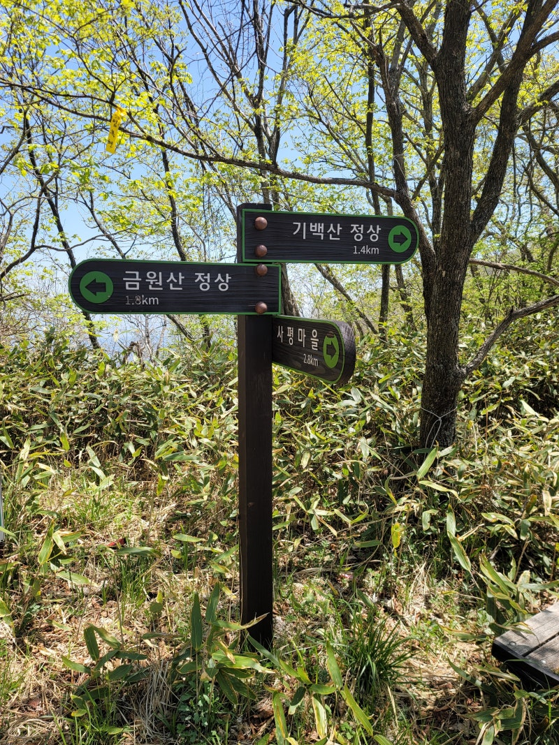 함양 기백산 금원산임도길 최단코스 : 네이버 블로그