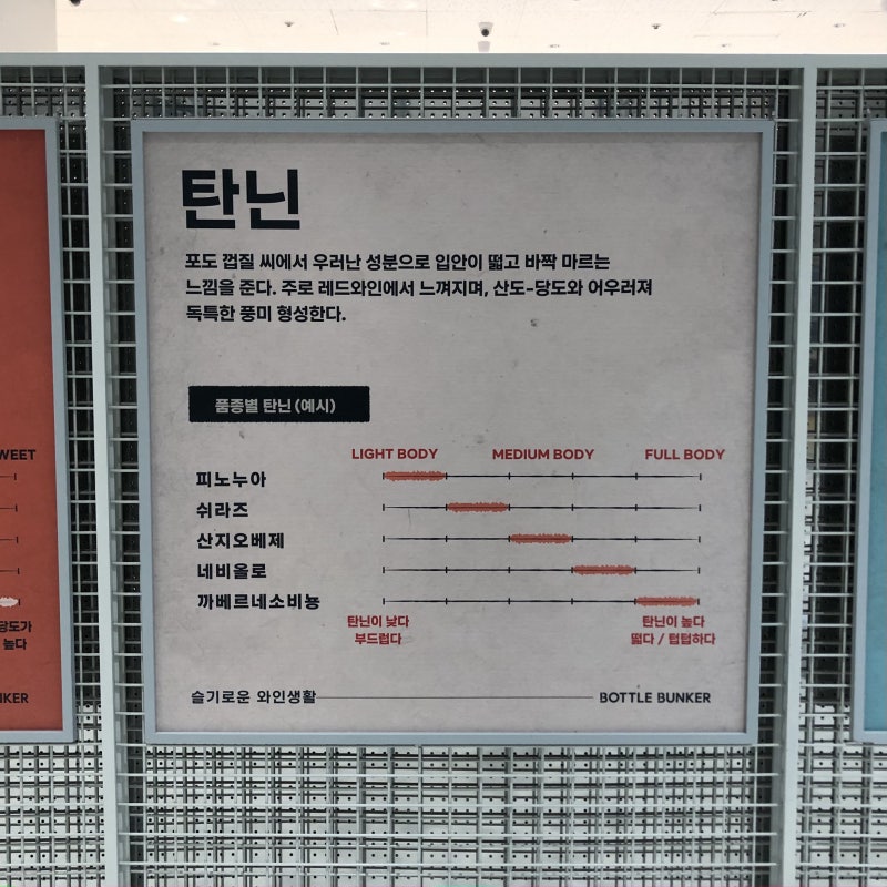 창원 와인샵 보틀벙커 창원중앙점 롯데마트맥스와인 병아리 눈 돌아가는 와인천국위스키 네이버 블로그