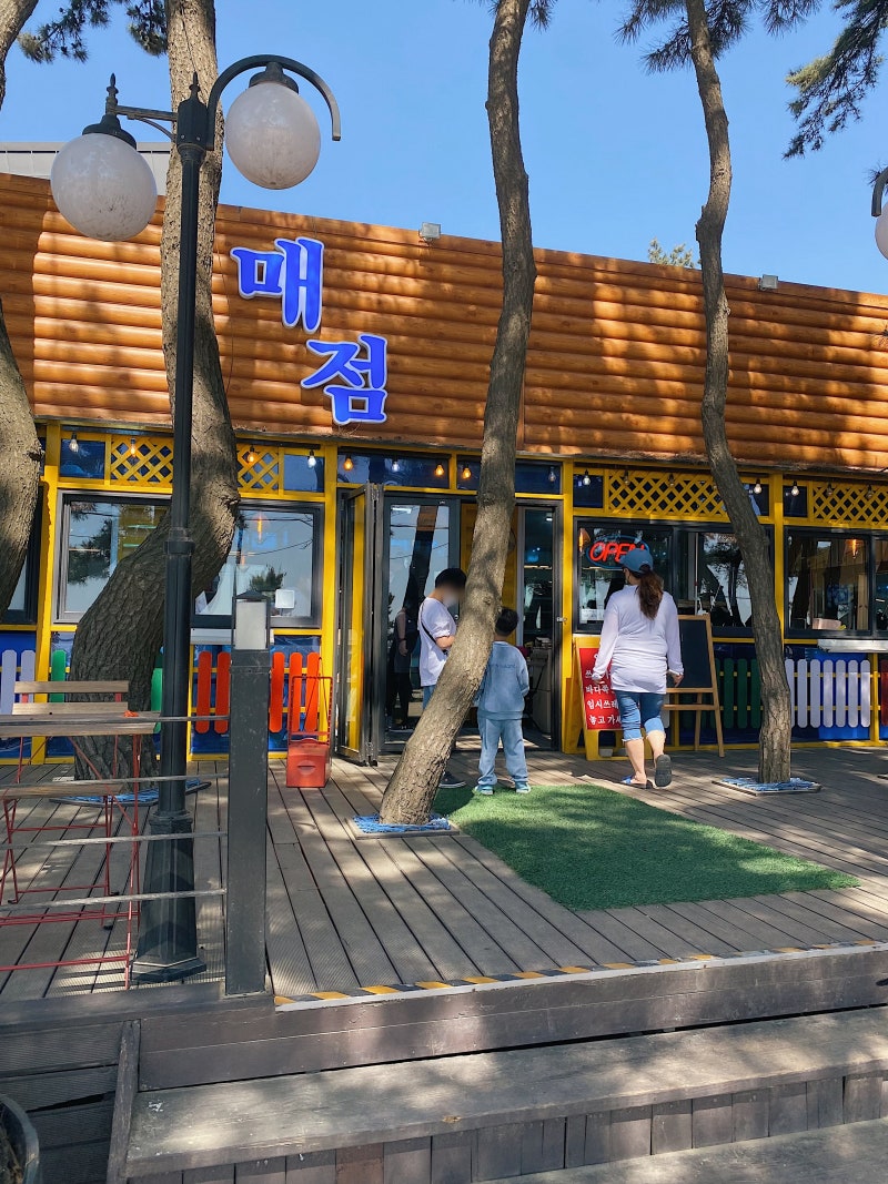 화성 궁평리 해수욕장 경기도 노지캠핑 차박 명소 텐트 취사가능 궁평항 아이랑 가볼만한곳 Ver2 네이버 블로그
