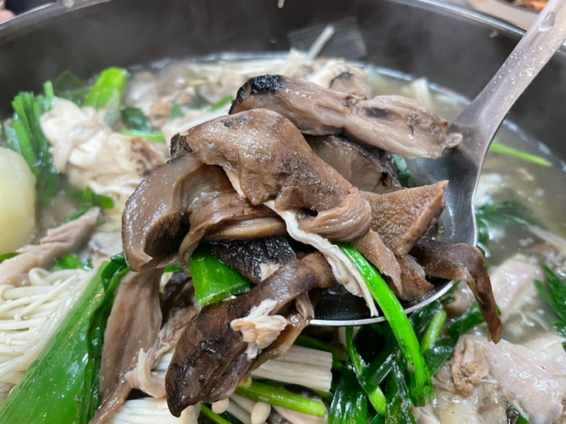 강릉여행강릉맛집이게 닭백숙이라고 엄청난 크기 부연동백숙 능이버섯토종닭백숙 네이버 블로그