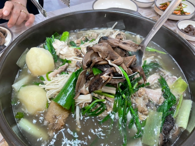 강릉여행강릉맛집이게 닭백숙이라고 엄청난 크기 부연동백숙 능이버섯토종닭백숙 네이버 블로그