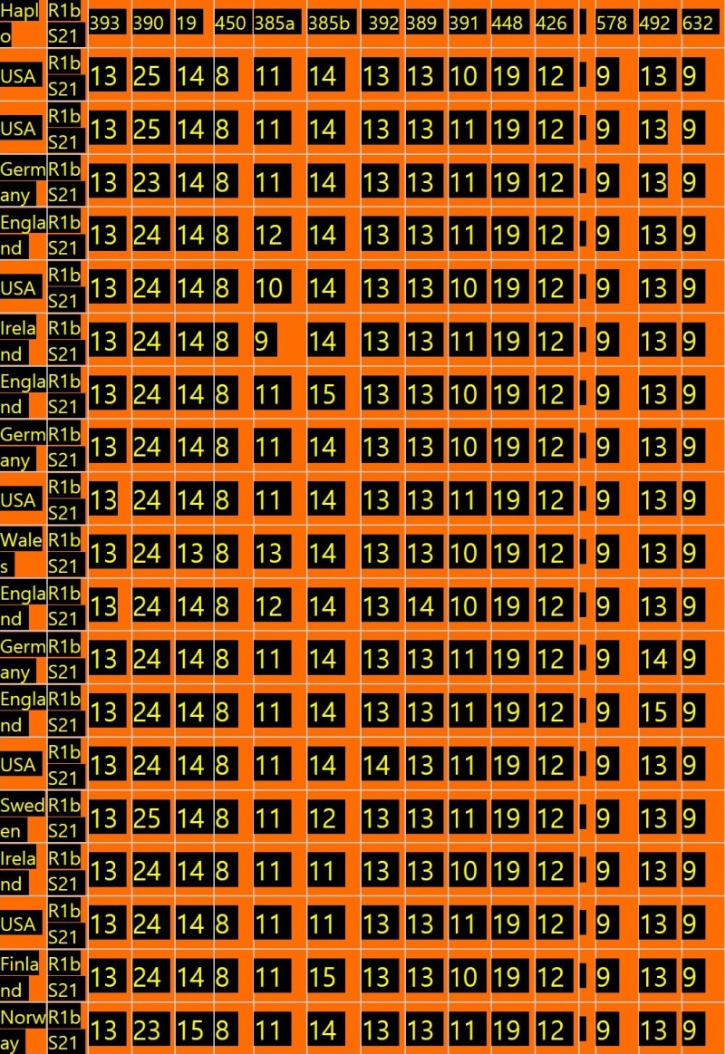 서유럽인,게르만 국가 주류 Y-DNA R1b 하플로 그룹 Y-STR모음 R1b-S21 U106 개별 인물들 R1b S21 Y ...