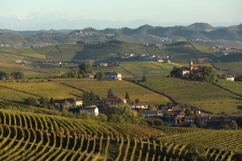 Oddero, Barolo DOCG Bussia Vigna Mondoca Riserva, Piedmont, 2010 (오데로 ...